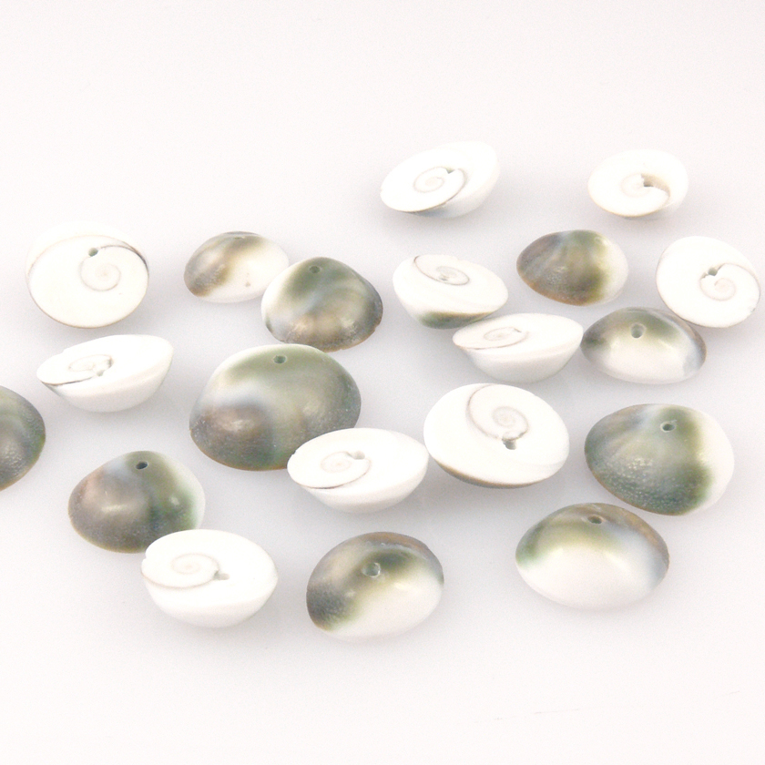 Perlmutt Perlen 10 St. Muschelperlen 18mm weiß grün-braun Bastelperlen ...